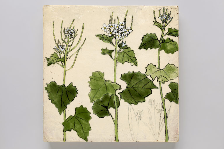 Endangered/ Invasive